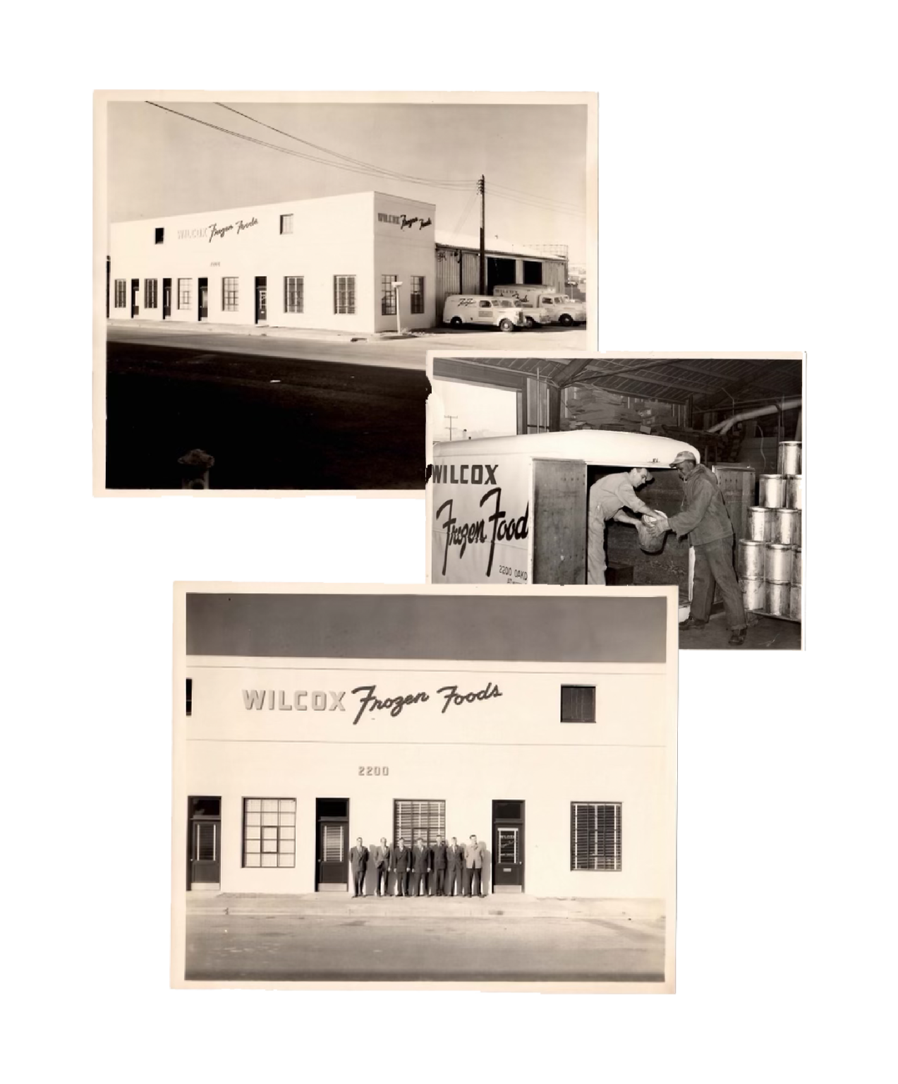 Wilcox Foods – Where Heart Meets Hustle